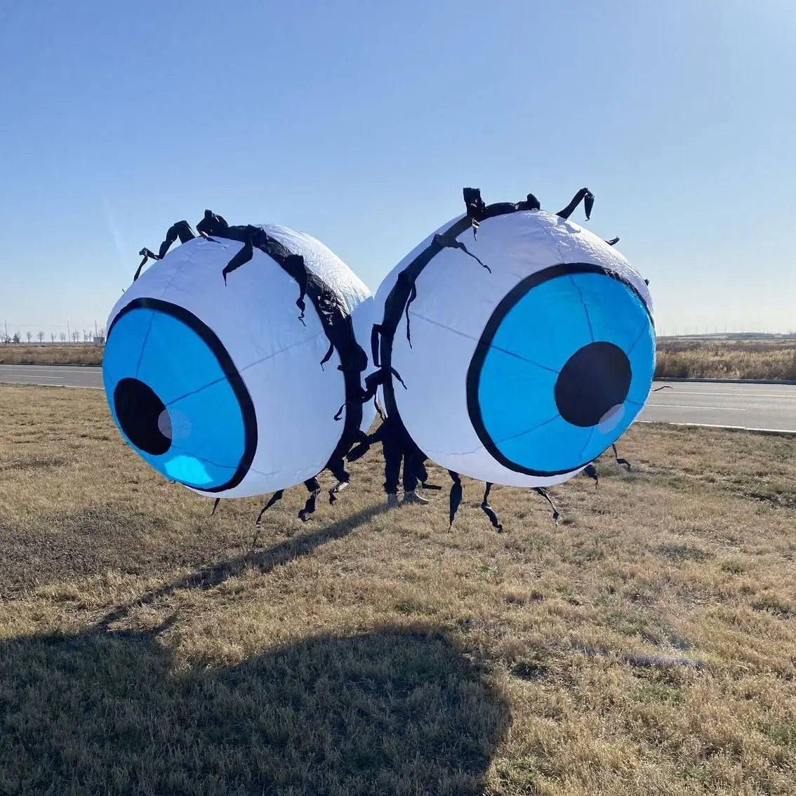 Dragon zburător gigantic - ochi